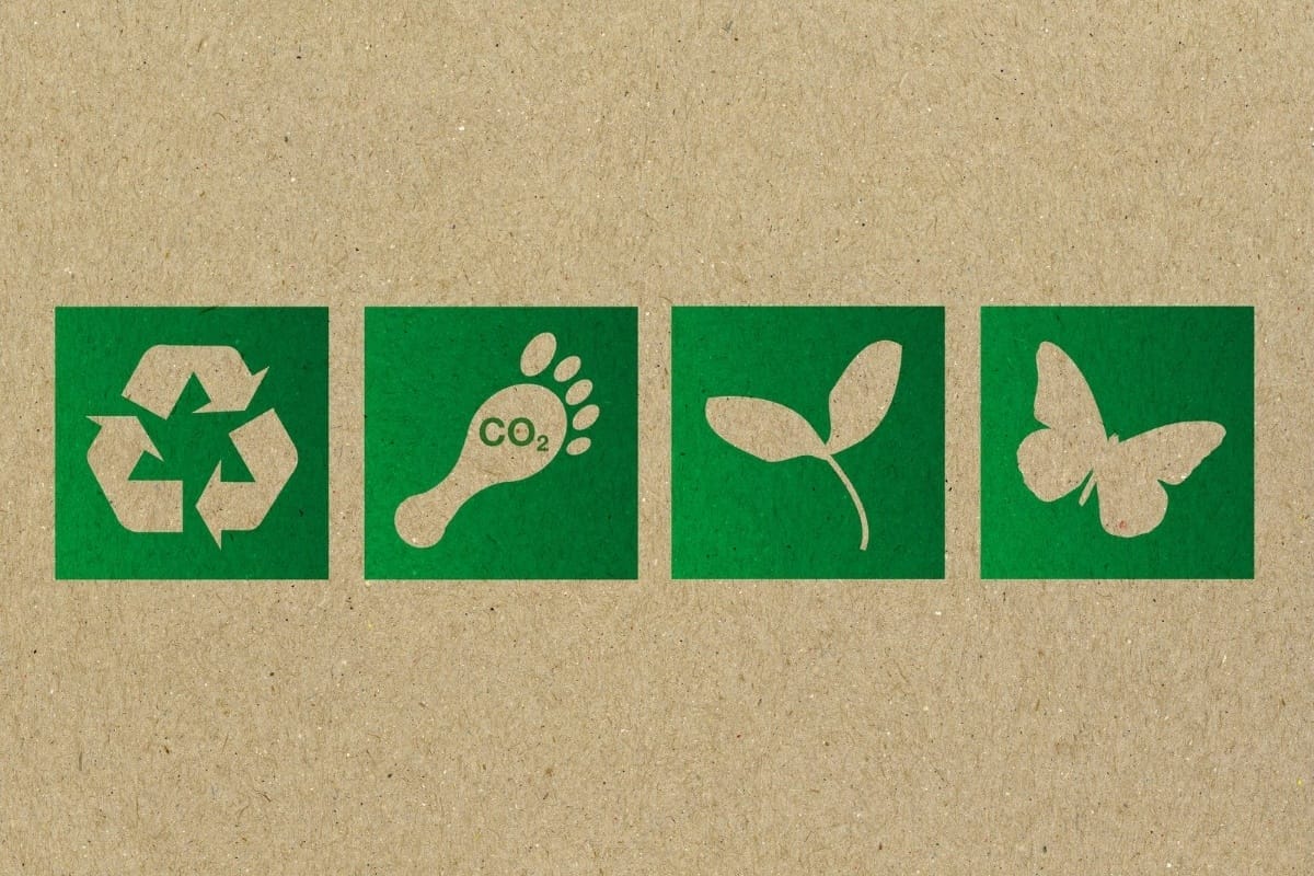 8 Mindful Nature Photography Projects To Inspire Your Creativity - Self ...